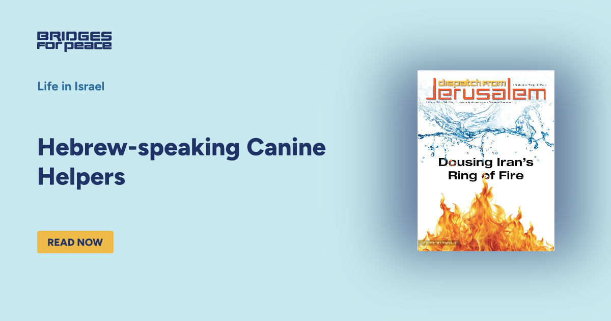 Hebrew-speaking Canine Helpers